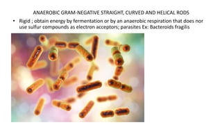Microbial world I.pptx