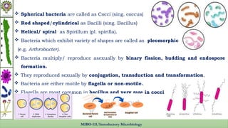 microbial world: prokaryotic and eukaryotic | PPTX