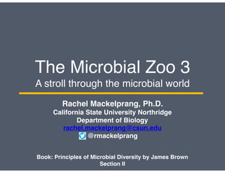 Microbial Diversity Part 9: A Stroll Through the Microbial Zoo (pt 3) | PPT