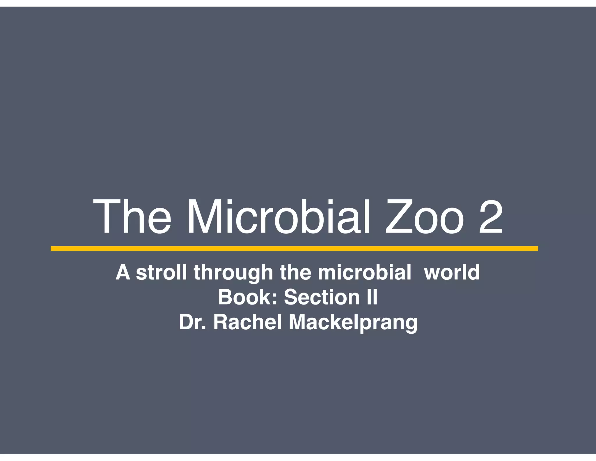 Microbial Diversity Part 8: A Stroll Through the Microbial Zoo (pt2) | PDF