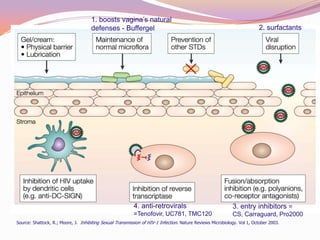 Microbicides for hiv prevention | PPTX | Sexual Health | Diseases and ...