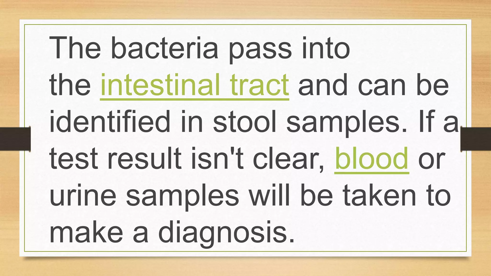 typhoid - enteric fever | PPT