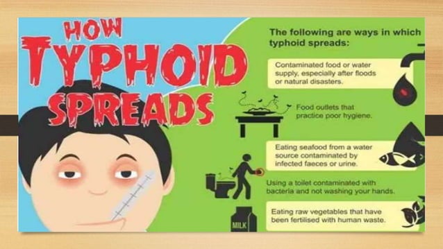 typhoid - enteric fever | PPT