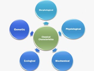 characteristics used in classification of micro-organism | PPTX