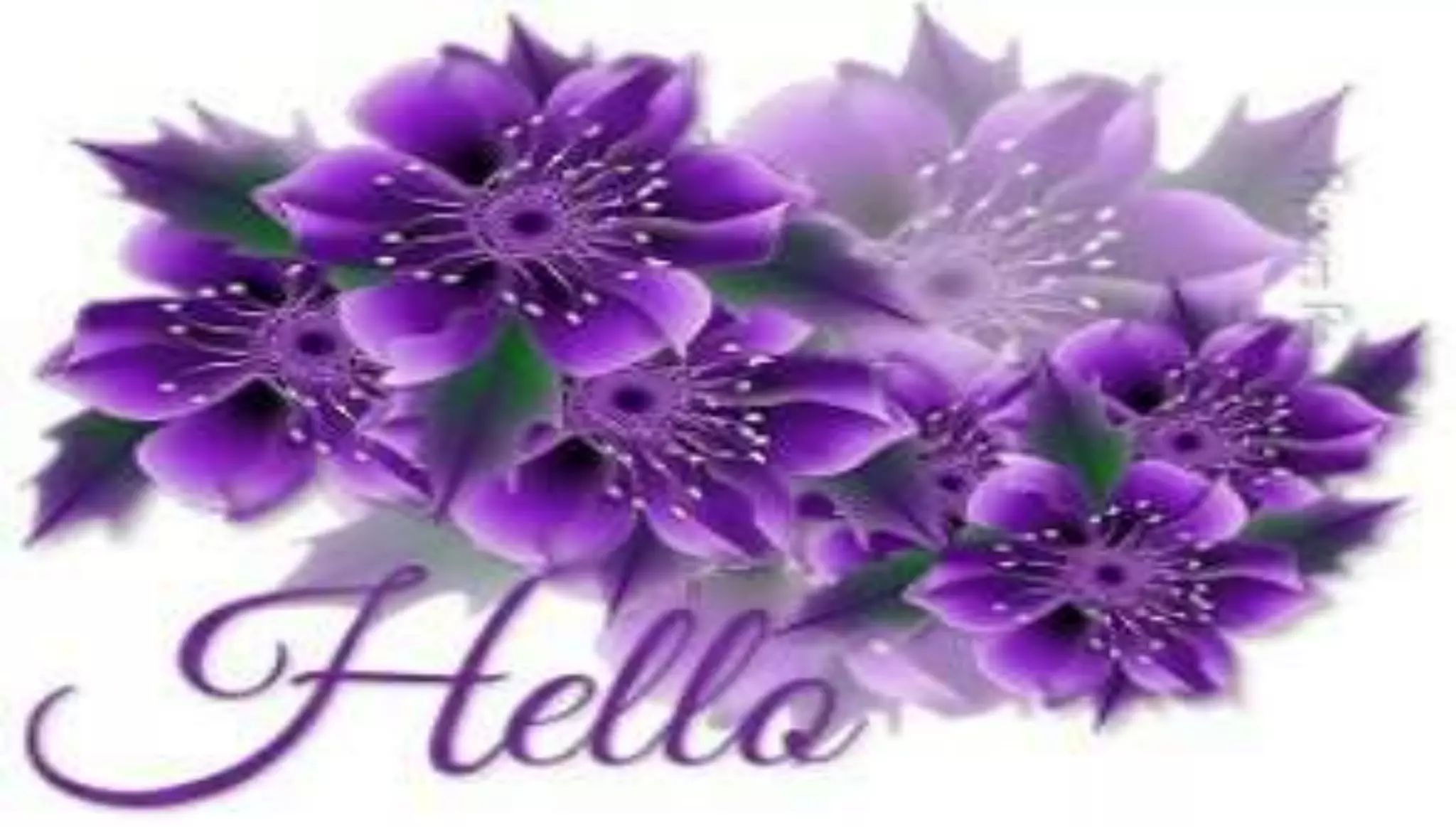 Micro organisms in foods | PPTX