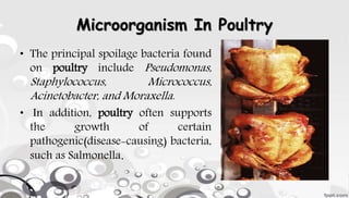 Micro organisms in foods | PPTX