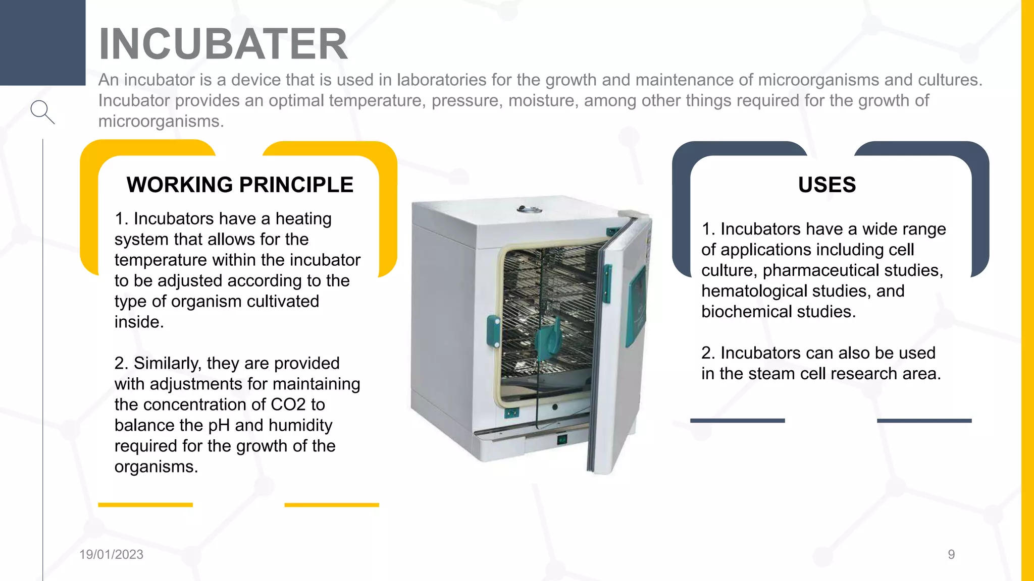 MICROBIO.pptx | Home Appliances | Home & Garden