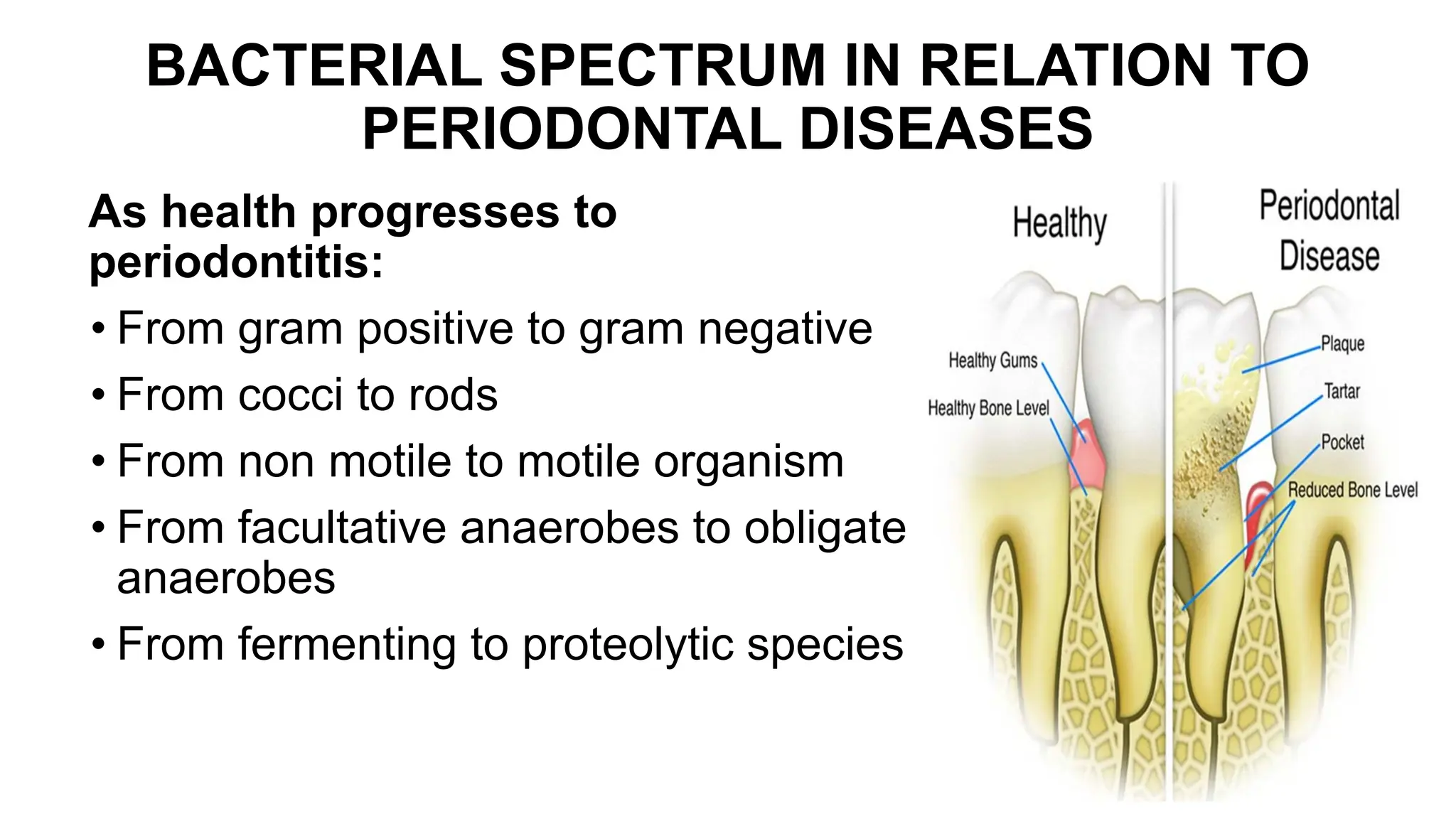 Bacterial Spectrum in Relation to Periodontal Diseases | PPT