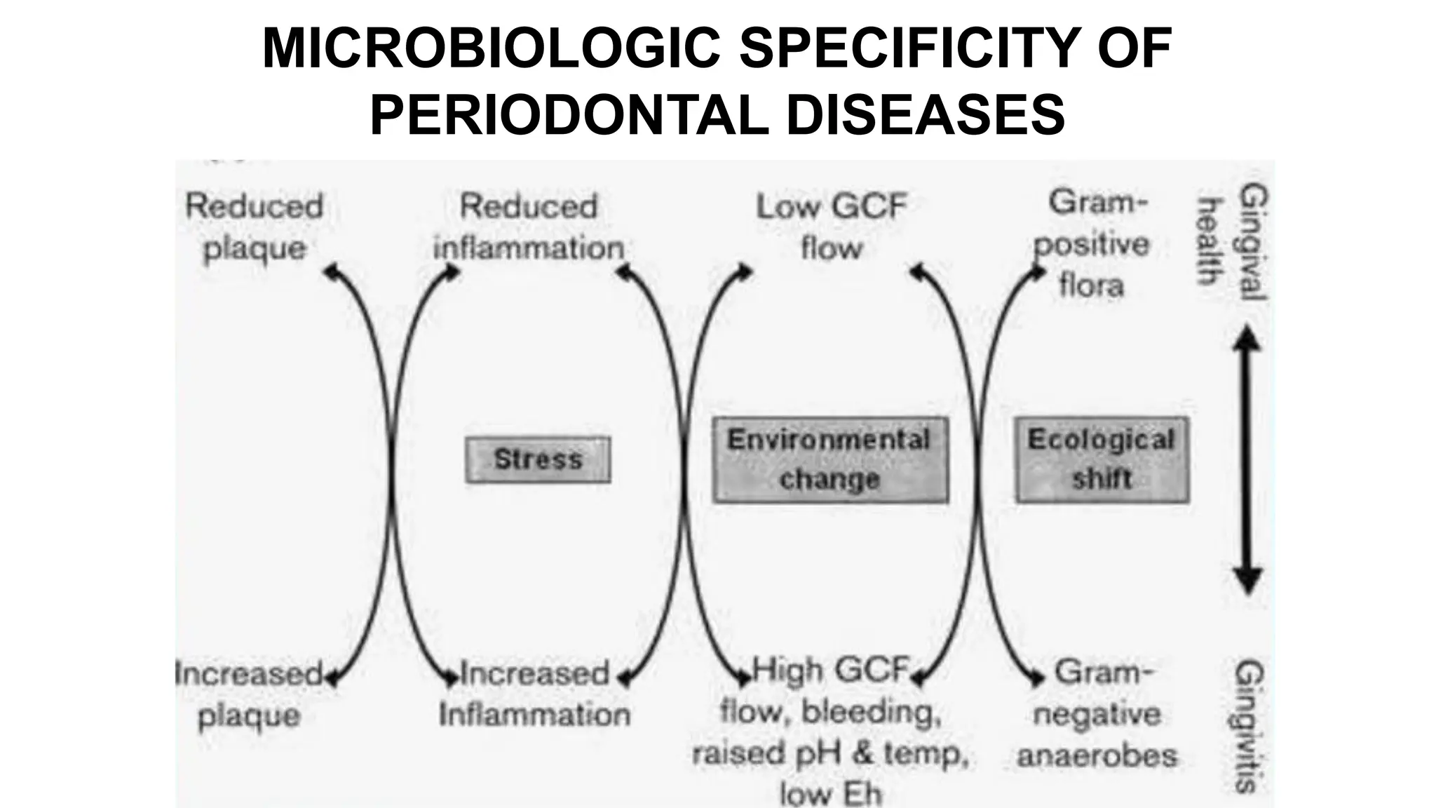 Bacterial Spectrum in Relation to Periodontal Diseases | PPT