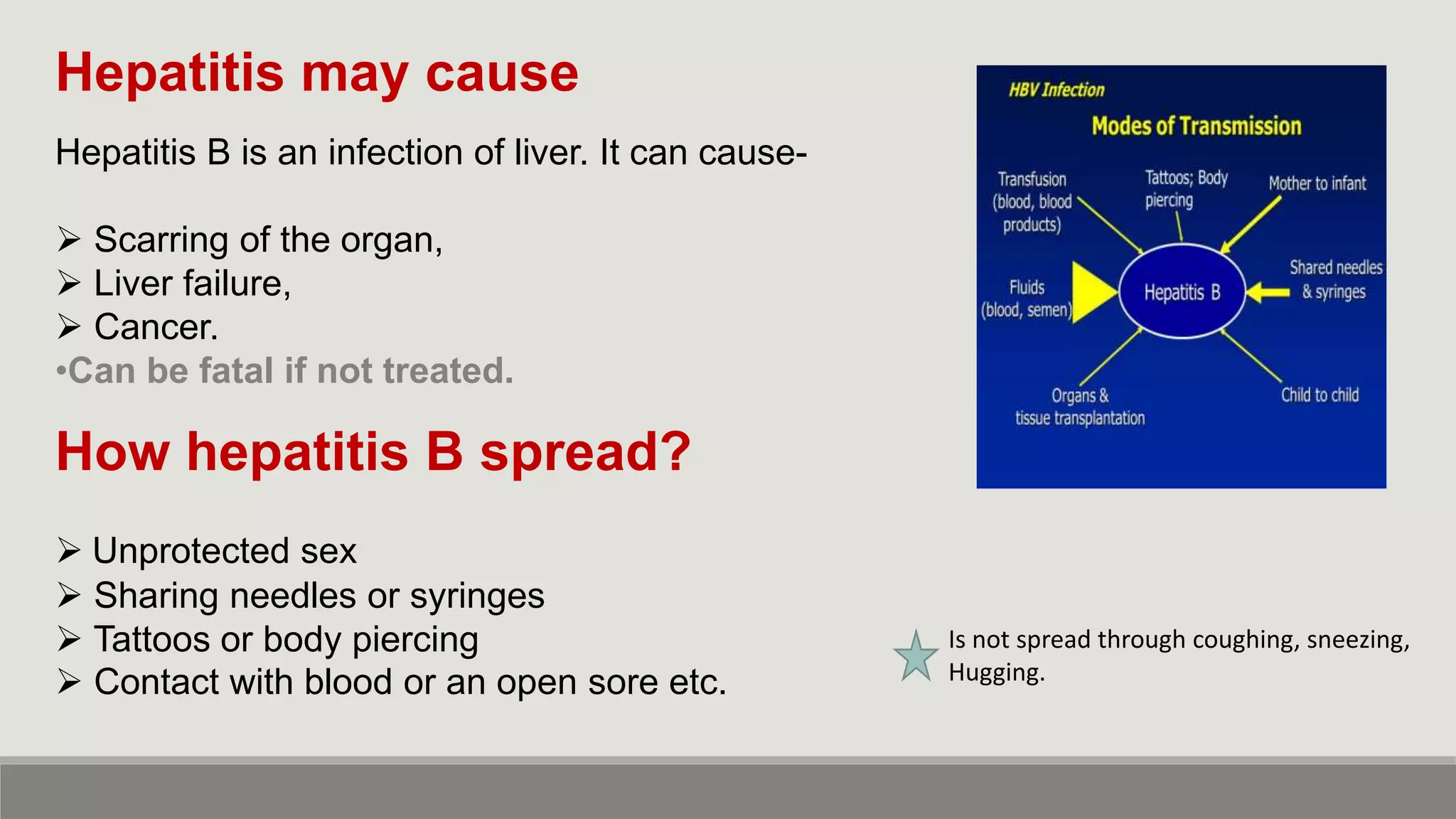 Microbiology 2 Hepatitis B Presentation | PPT