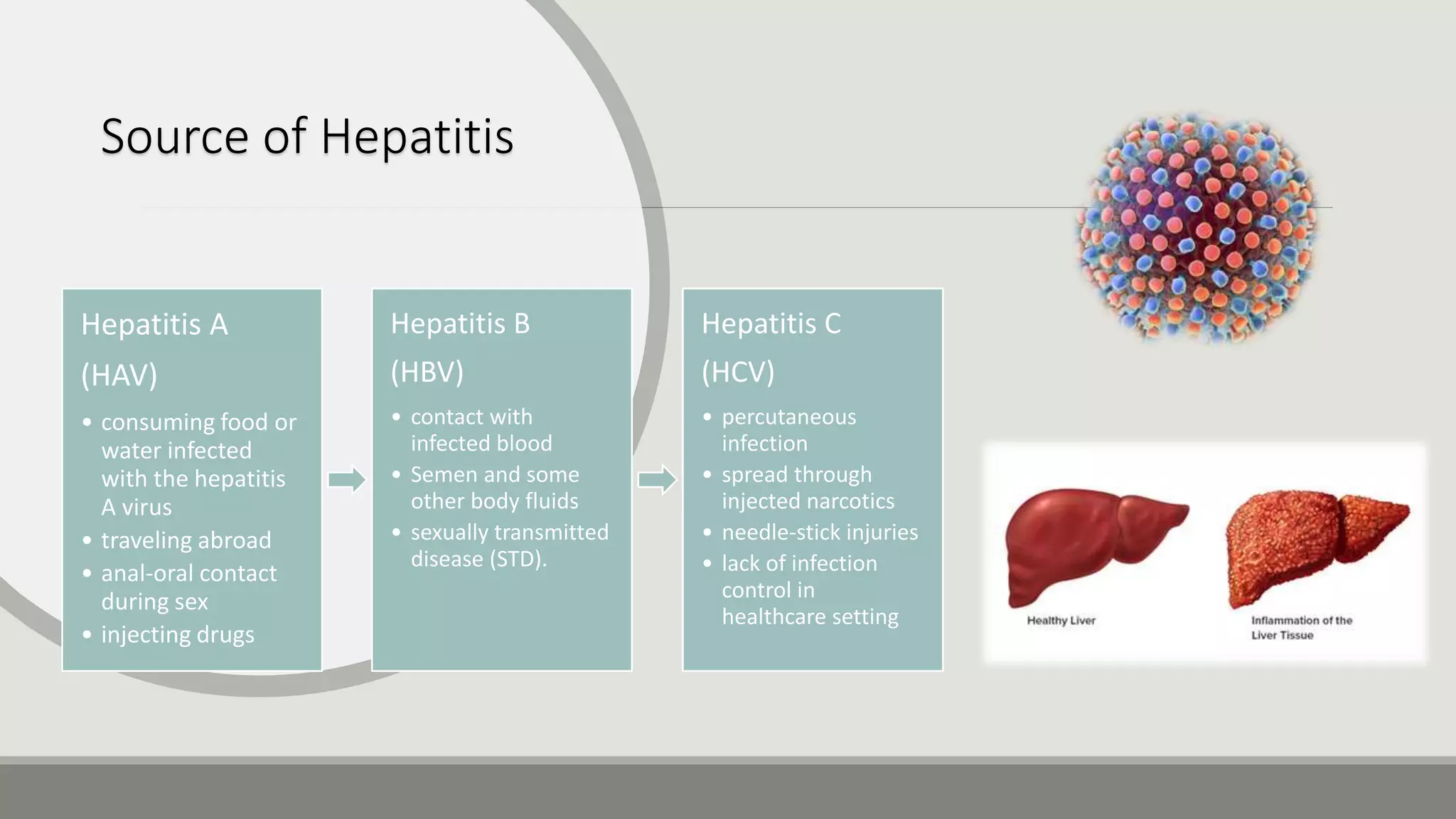 Microbiology 2 Hepatitis B Presentation | PPT