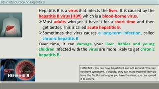 Microbiology 2 Hepatitis B Presentation | PPT