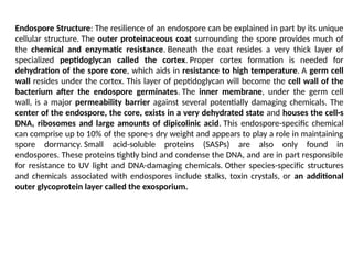 Microbio and Plant microbe interactions.pptx