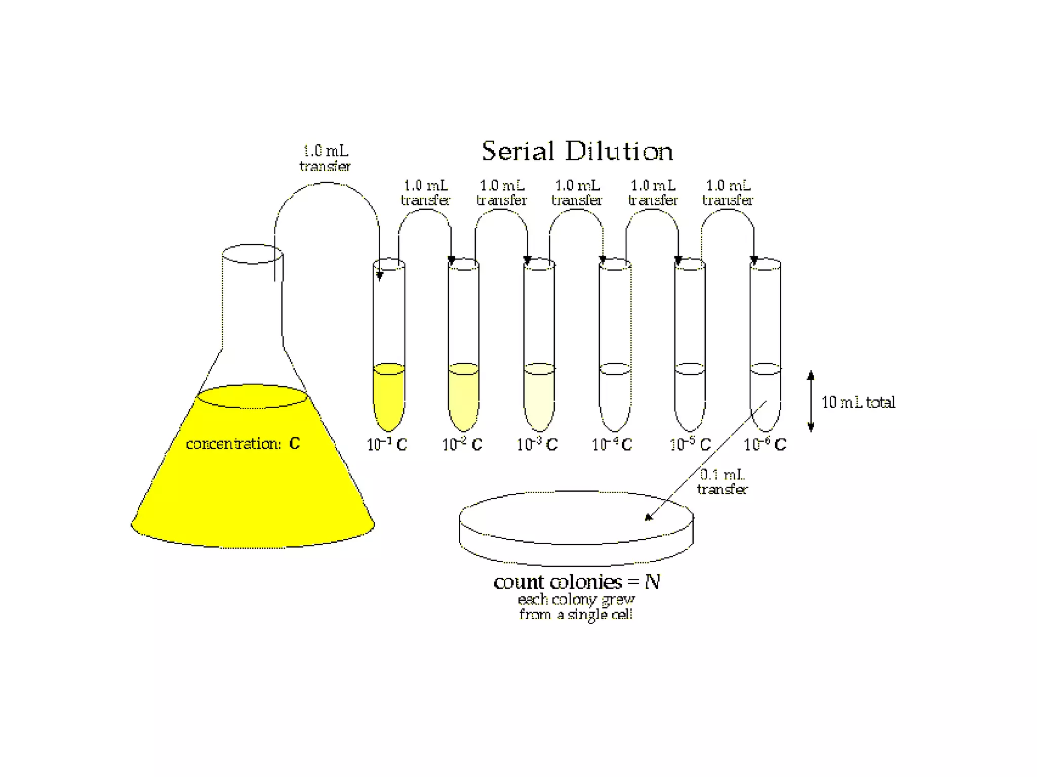 Microbial examination | PPTX