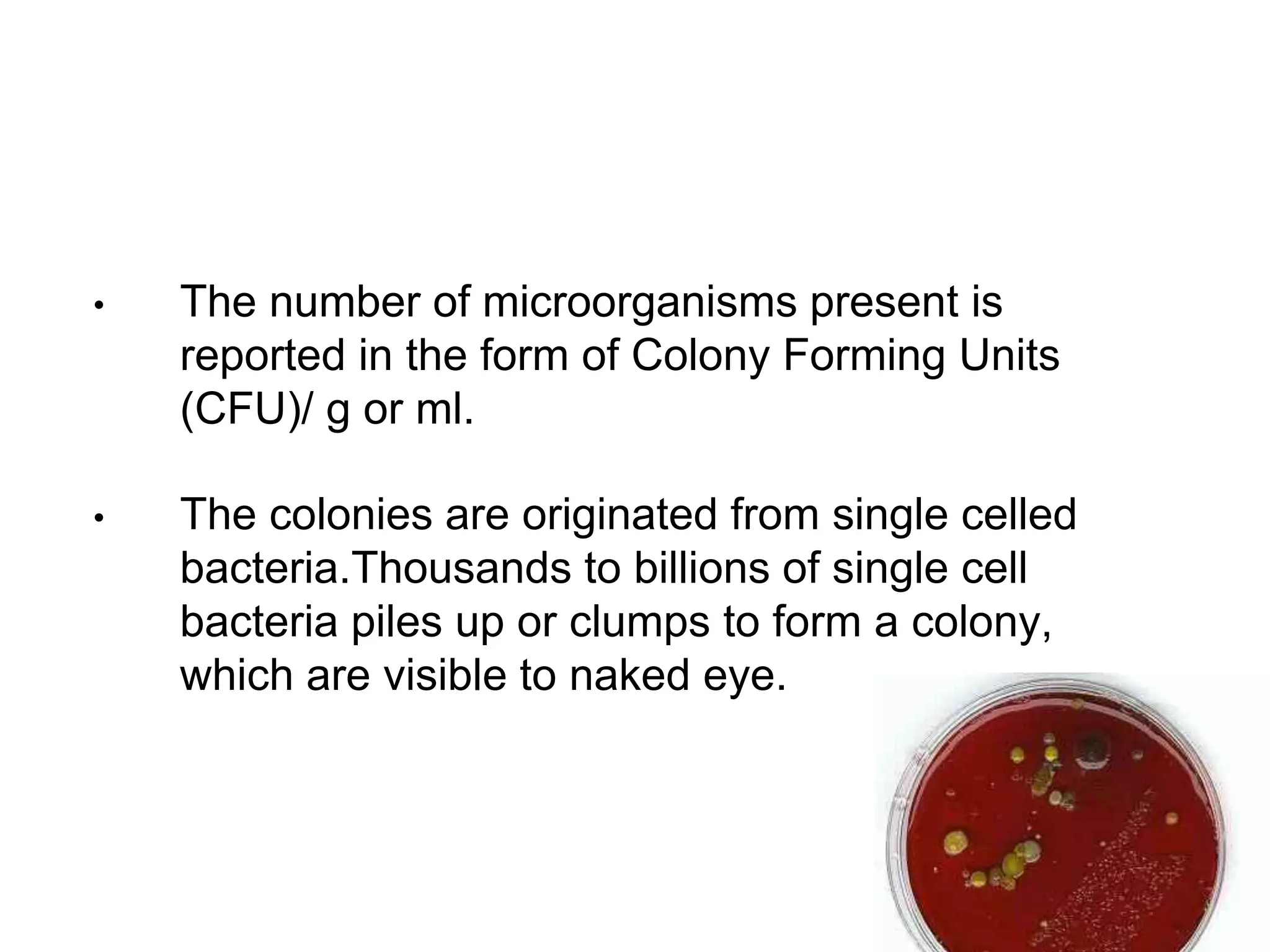 Microbial examination | PPTX