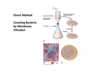 Microbial examination | PPTX