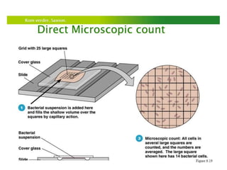 Microbial examination | PPTX