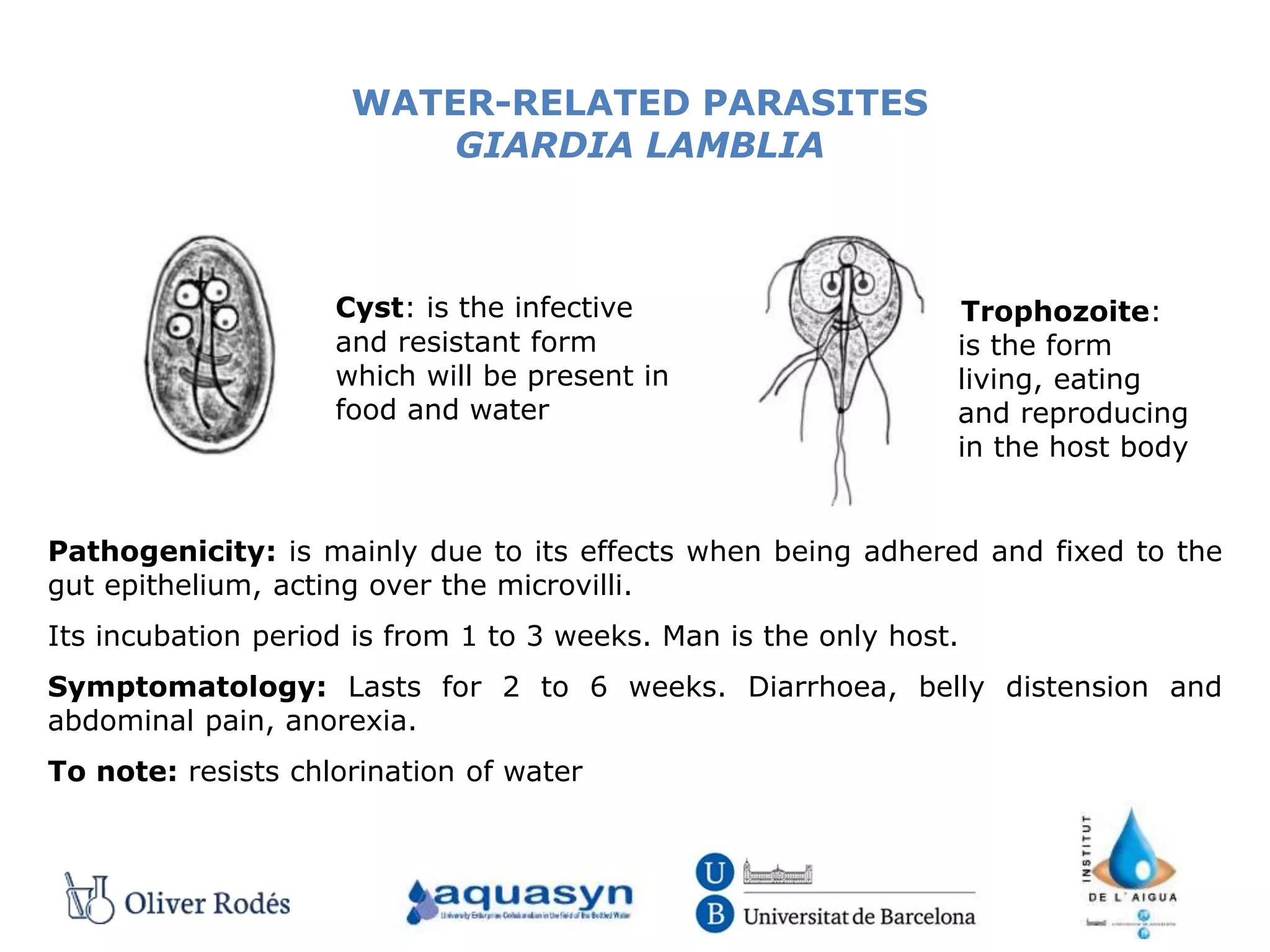 Microbiol a ms 201014 0.2 | PPT