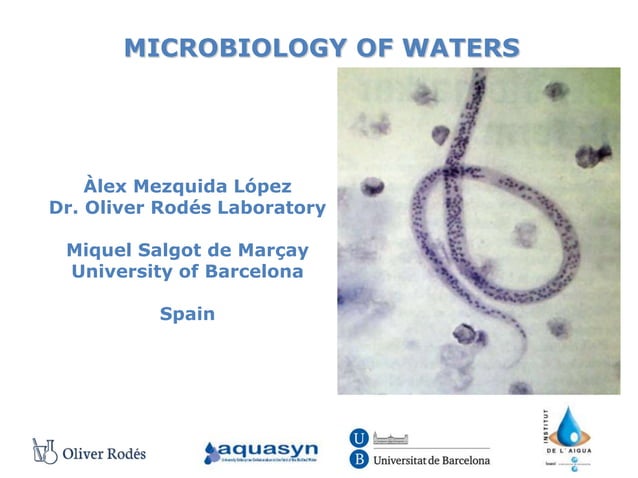 Microbiol a ms 201014 0.2 | PPT