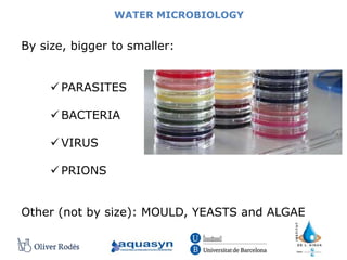 Microbiology of Waters | PPTX