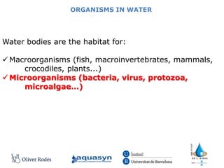 Microbiology of Waters | PPTX