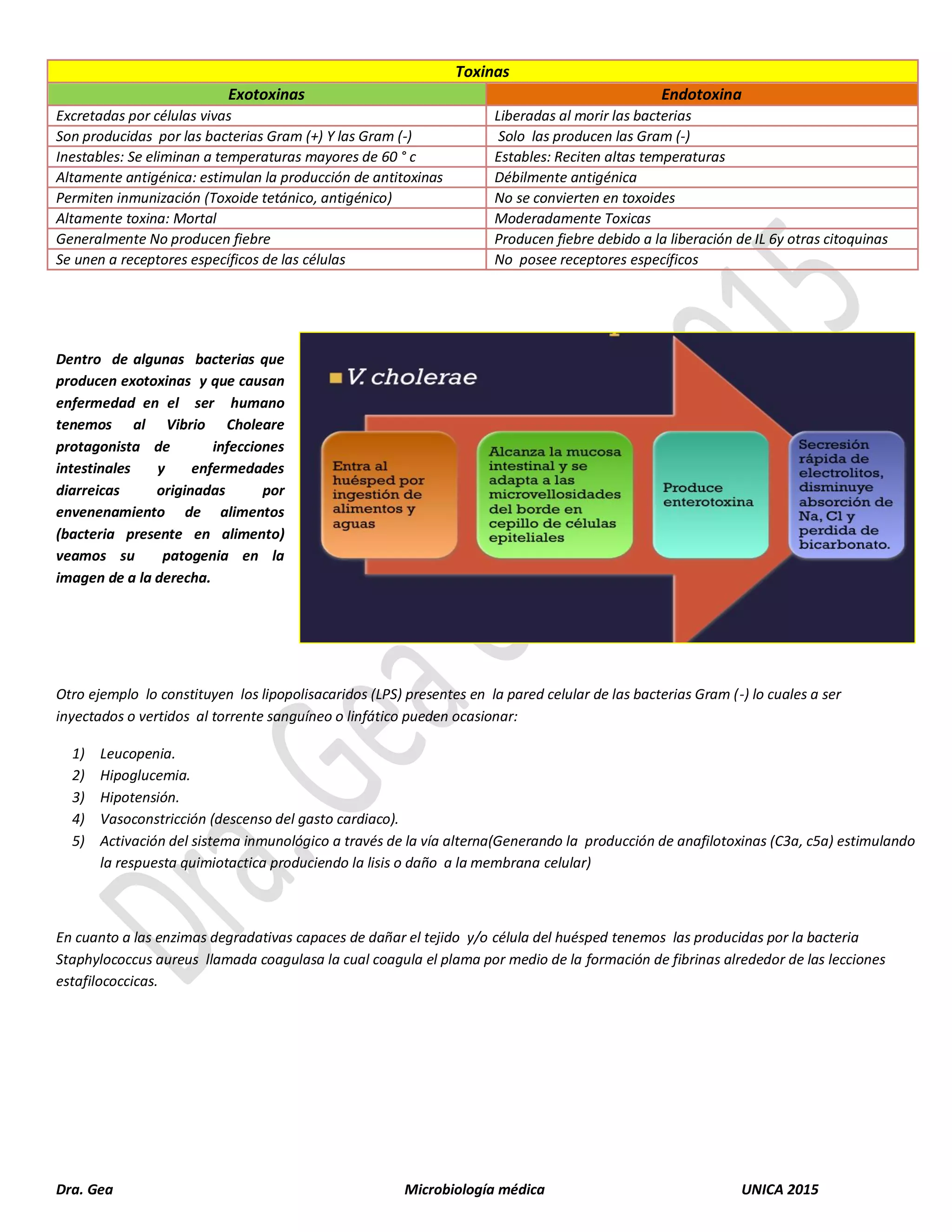 Microbiología tema 3 patogenia bacteriana | PDF