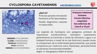 Microbiología y Parasitología - Cryptosporidium SP y Cyclospora ...