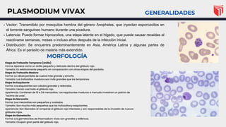 Microbiología y Parasitología - Plasmodium Vivax | PDF