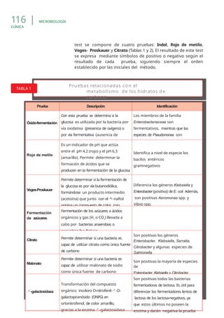 MICROBIOLOGIA MEDICA, CURSO UNIVERSITARIO.pptx