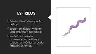 Generalidades de la microbiología clinica | PPTX