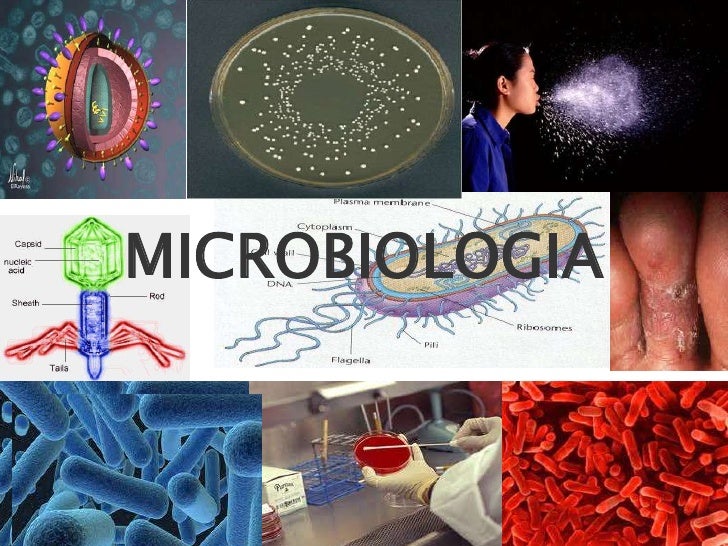 Microbiologia aula