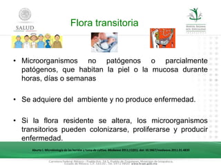 MICROBIOLOGIA DE LAS HERIDAS.pptx