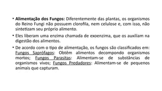MICROBIOLOGIA, fungos, bactérias e vírus | PPTX
