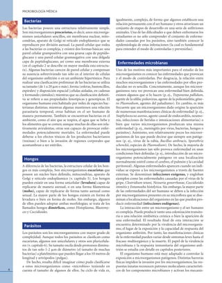microbiologia_medica_murray_6a_rinconmedico.net.pdf