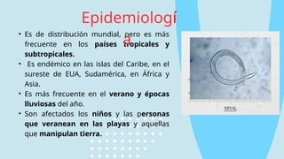 Microbiologia Parasitos De Importancia Médicapptx
