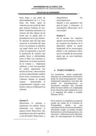 Columna de winogradsky | PDF