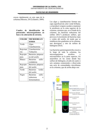 Columna de winogradsky | PDF