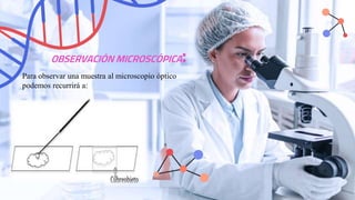 PREPARACION DE MUESTRAS PARA SU OBSERVACION AL MICROSCOPIO OPTICO | PPTX