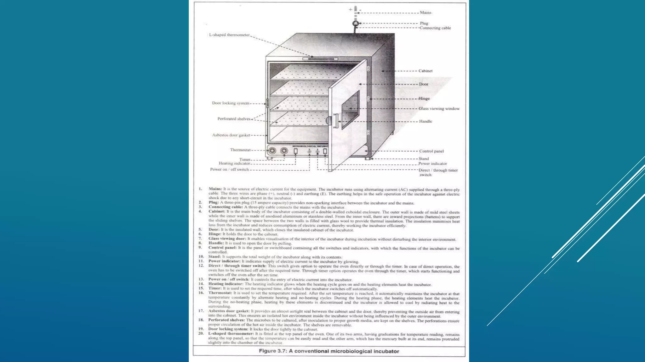 BASIC MICROBIOLOGY LAB EQUIPMENTS | PPTX