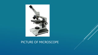 BASIC MICROBIOLOGY LAB EQUIPMENTS | PPTX