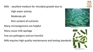 Microbiological analysis of milk part I | PPTX
