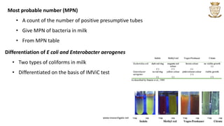 Microbiological analysis of milk part II | PPTX