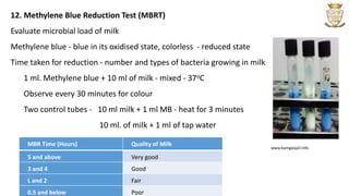 Microbiological analysis of milk part II | PPTX