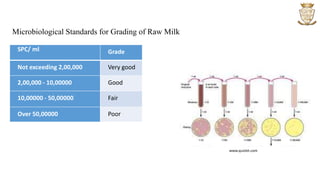 Microbiological analysis of milk part II | PPTX