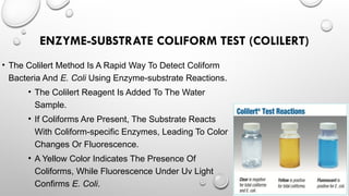 Microbiological and Chemical Techniques for Testing Drinking Water.pptx