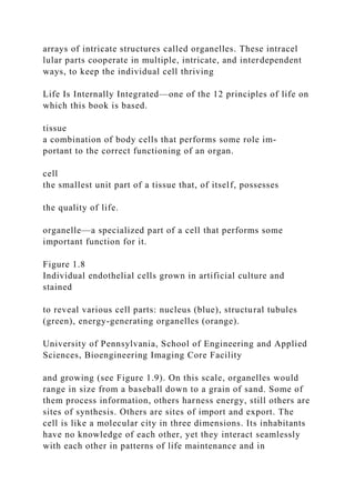 Microbiological ArchitecturePicture a computer architect brood.docx