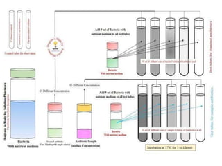 Microbiological assay | PPTX