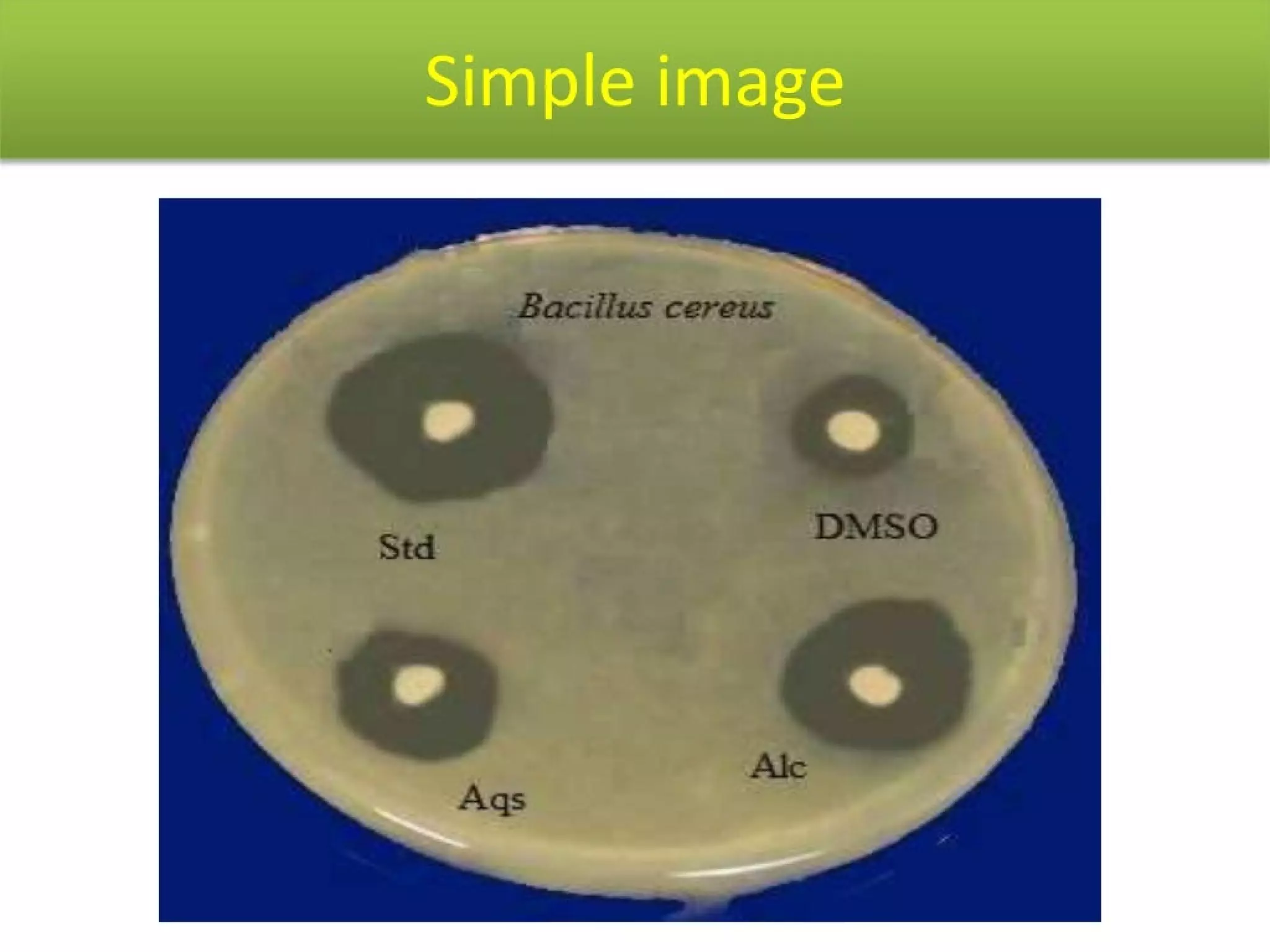 Microbiological Assay Pdf