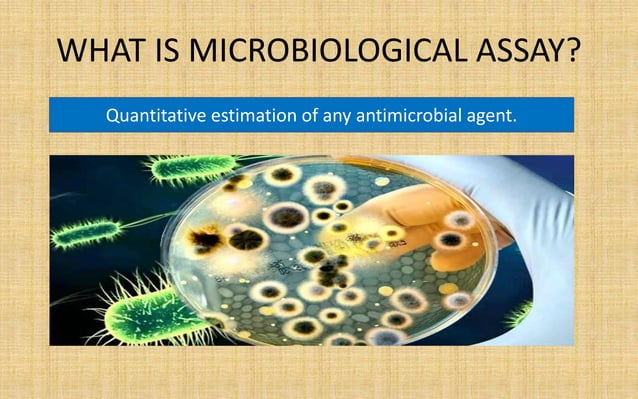 Microbiological assay of antibiotics | PPTX | Chemistry | Science