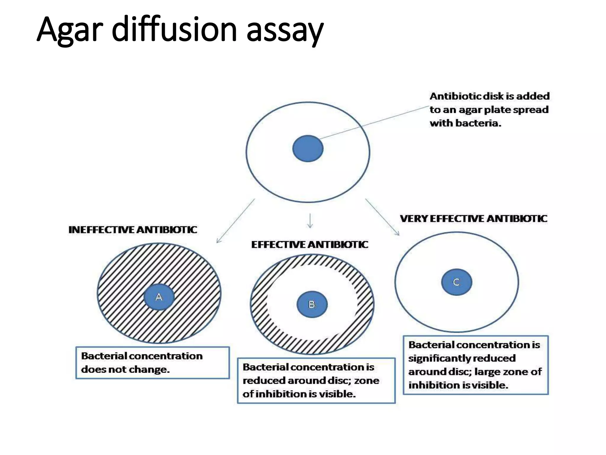 Microbiological assay of antibiotics | PPTX